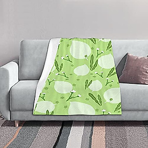 RIFYRI Baby Blankets for Boys Girls Lightweight Fuzzy Fluffy Warm Plush Baby Blanket Gifts for Infant Toddler Newborn Receiving Blanket for Crib, Stroller (Plants, 30Wx40L)