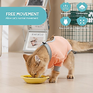 Avont Cat Recovery Suit - Kitten Onesie with Front Sleeves for After Surgery, Female Spay Surgical Abdominal Wound Skin Diseases E-Collar Alternative Wear -Coral(S)