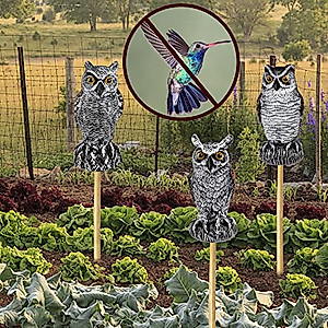 Hausse 3 Pack Bird Scarecrow Fake Horned Owl Decoy, Plastic Owl Bird Deterrents, Halloween Outdoor Decoration, Nature Enemy Pest Repellent for Outdoor Garden Yard, Black