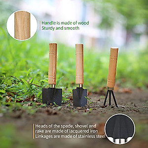5Pcs Succulent Tools, Mini Garden Tools,Plant Potting Mat as Plant Accessories,Succulent Gardending Hand Tools Kit for Seedling Soil,Caring Succulent,etc,Gifts for Woman’s Gardening work(No Flowerpot)