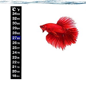 SunGrow Betta Fish Tank Thermometer Stick On, Aquarium Temperature Sticker Strip, 5.2 x 0.7 Inches, Green & Blue Temperature Indicator, Amphibian and Reptile Thermometer Sticker, Black, 1 Pc