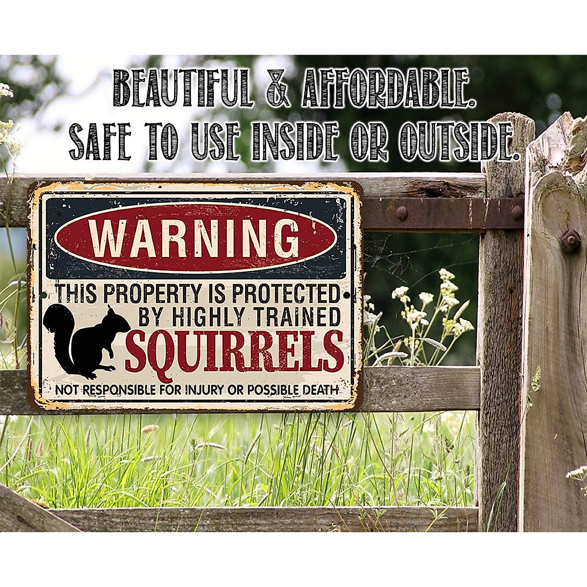 Metal Sign - Warning Property Squirrels - Durable Metal Sign - Use Indoor/Outdoor - Cute and Funny Garden Decor and Gift Under $20 (8" x 12")