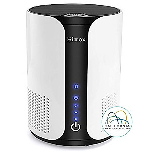Himox Small Air Purifier for bedroom and AP01 Compact Desk Air Purifier Both H13 True HEPA Medical Grade Ultra Quiet