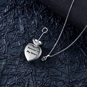 TOUPOP Hummingbird Urn Necklace for Ashes Sterling Silver Heart Cremation Jewelry for Ashes Memorial Keepsake Pendant Keepsake Jewelry Gifts for Women