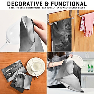 xigua Horse Kitchen Towels Set of 1, Soft Absorbent Drying Dishcloths Dish Towels with Hanging Loop for Kitchen Bathroom Bar Home Decor, 18 x 28 Inch