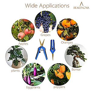 BEADNOVA Trimming Scissors Pruning Scissors Bud Trimming Scissors with Curved Precision Blades Weed Flower Bonsai Trimming Shears for Plant Garden Floral (Blue, 2 pcs)
