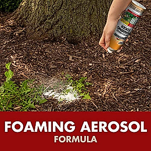 Spectracide Weed And Grass Foaming Edger 17 Ounces, Aerosol, For Edging Along Yards - pack of 12