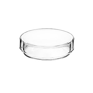 QWORK Glass Petri Dish Petri Plates with Lid, Thicken, 60mm x 18mm, 5 Pack