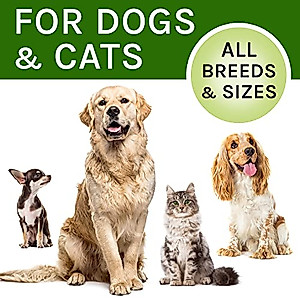 Kennel Cough Herbal Drops for Dogs & Cats - Cough Relief - Throat Soother - Homeopathic Respiratory Support - Dry, Wet Pet Cough and Cat Asthma, Sinus Congestion Treatment - Made in US - 2 Fl Oz