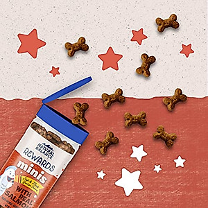 Natural Balance Limited Ingredient Mini-Rewards Salmon Grain-Free Dog Training Treats for Dogs | 5.3-oz. Canister