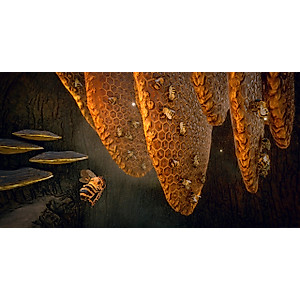 Bee Simulator (NSW) - Nintendo Switch