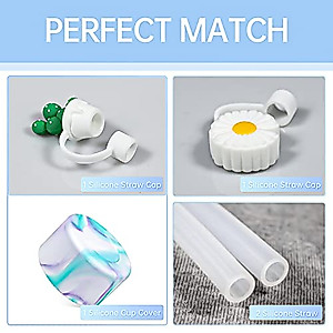 5 PCS for Stanley Cup Accessory,2 Reusable Replacement Silicone Straws Clear 40 oz 30 Tumbler,2 Straw Tip Covers and 1 Protective Boot,Multicolor