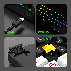 60% Wired Gaming Keyboard, RGB Backlit Ultra Compact Mini Keyboard, Waterproof Mini Compact 61-key Keyboard for PC/Mac Gamers, Typist, Travel, Easy Travel (Black & White)