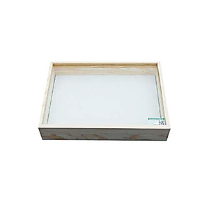 balacoo Specimen Box Insect Display Case Display Shadow Box Frame Entomology Supplies for Insect Butterfly Specimen Display Collages Collections