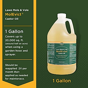 Baar Products - MolEvict Lawn Mole Castor Oil - Lawn & Garden Protection - Up to 20,000 Sq. Ft. of Coverage - 1 Gallon