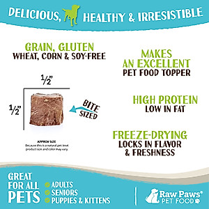 Raw Paws Chicken Hearts Treats, 4 oz - All Natural Freeze Dried Dog Cat Ferrets Food Topper - High Protein Pet Treats - Taurine Source - Grain Free