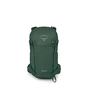 Osprey Skarab 30L Men's Hiking Backpack with Hydraulics Reservoir, Tundra Green, One Size