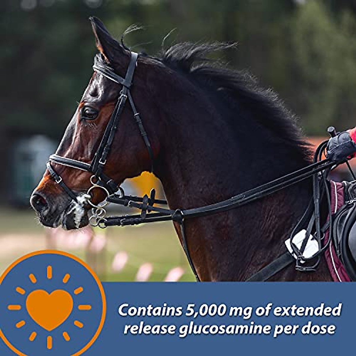 Farnam MaxFlex XR Extended Release Joint Supplement for Horses, Provides a continuous supply of joint health ingredients for 24 hours, 0.9375 pound, 30 Day Supply