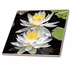 3dRose Garden Flag, White