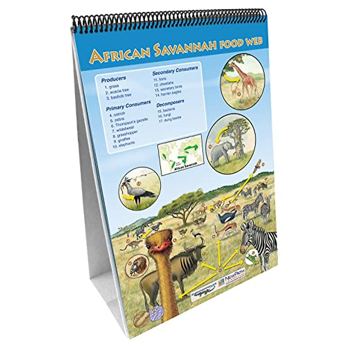 NewPath Learning - 34-6305 10 Piece Food Chains/Food Webs Curriculum Mastery Flip Chart Set, Grade 5-10