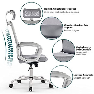 SMUG Ergonomic Home Computer Lumbar Support Mesh Adjustable Headrest Armrest and Wheels Swivel Rolling Office Chair(Grey)