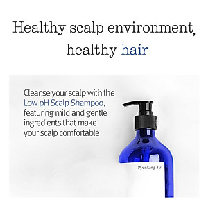Pyunkang Yul Low pH Scalp Shampoo with Natural Surfactant & Acorus Calamus Root for Perfect Cleansing & Healthier Scalp, Moisturizing, Soothing & Calming, Therapeutic for Damaged Hair 16.9 Fl.oz