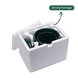 POTEY 053205 Ceramic Planter Pots - Glazed Modern Planters Flower Pot Indoor Bonsai Container with Drainage Holes & Saucer for Plants Aloe(5.1 + 4.2 Inch, Shiny Green, Set of 2, Plants Not Included)