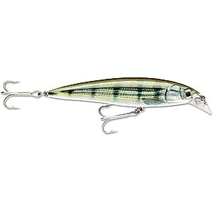 X-Rap Saltwater 12 Pinfish