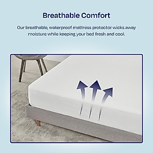 California Design Den Premium Waterproof Mattress Protector for Twin XL Size Bed - Soft, Cooling, Noiseless, Machine Washable, Fitted Mattress Cover with 8-20 Inch Deep Pockets