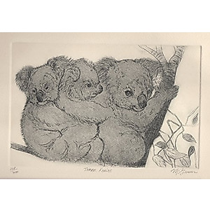 Three Koalas