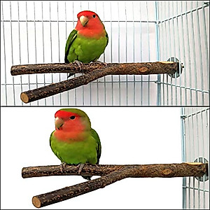 kathson Natural Bird Wood Perch Parakeet Standing Toy Sticks Parrot Paw Grinding Branches Cockatiels Cage Chewable Accessories for Conures Macaws Finches 8 PCS