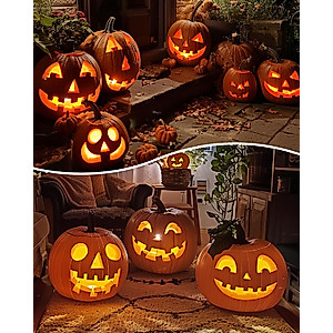 Luditek Halloween Pumpkin Carving Tools, Halloween Jack-O-Lanterns 11 Piece Professional Stainless Steel Pumpkin Carving Kit, Pumpkin Cutting Supplies Tools Kit for Adults Kids