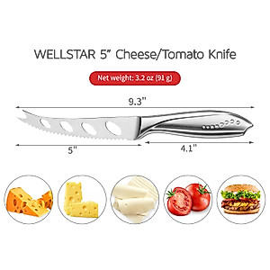 WELLSTAR Cheese Knife, Serrated Tomato Knife 5 Inch Sharp High Carbon Stainless Steel Blade for Cutting All Cheese Types – Silver