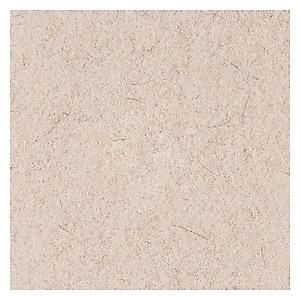 Boardwalk BWK4017NHE 17 in. Hog Hair Burnishing Pads - Natural (5-Piece/Carton)