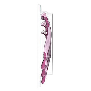 Venus - Simply3 Disposable Razors for Women - 4 Pieces