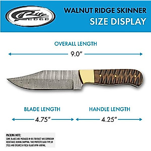 SZCO Supplies 9" Walnut Wood Handled Damascus Steel Outdoor Hunting Knife With Sheath