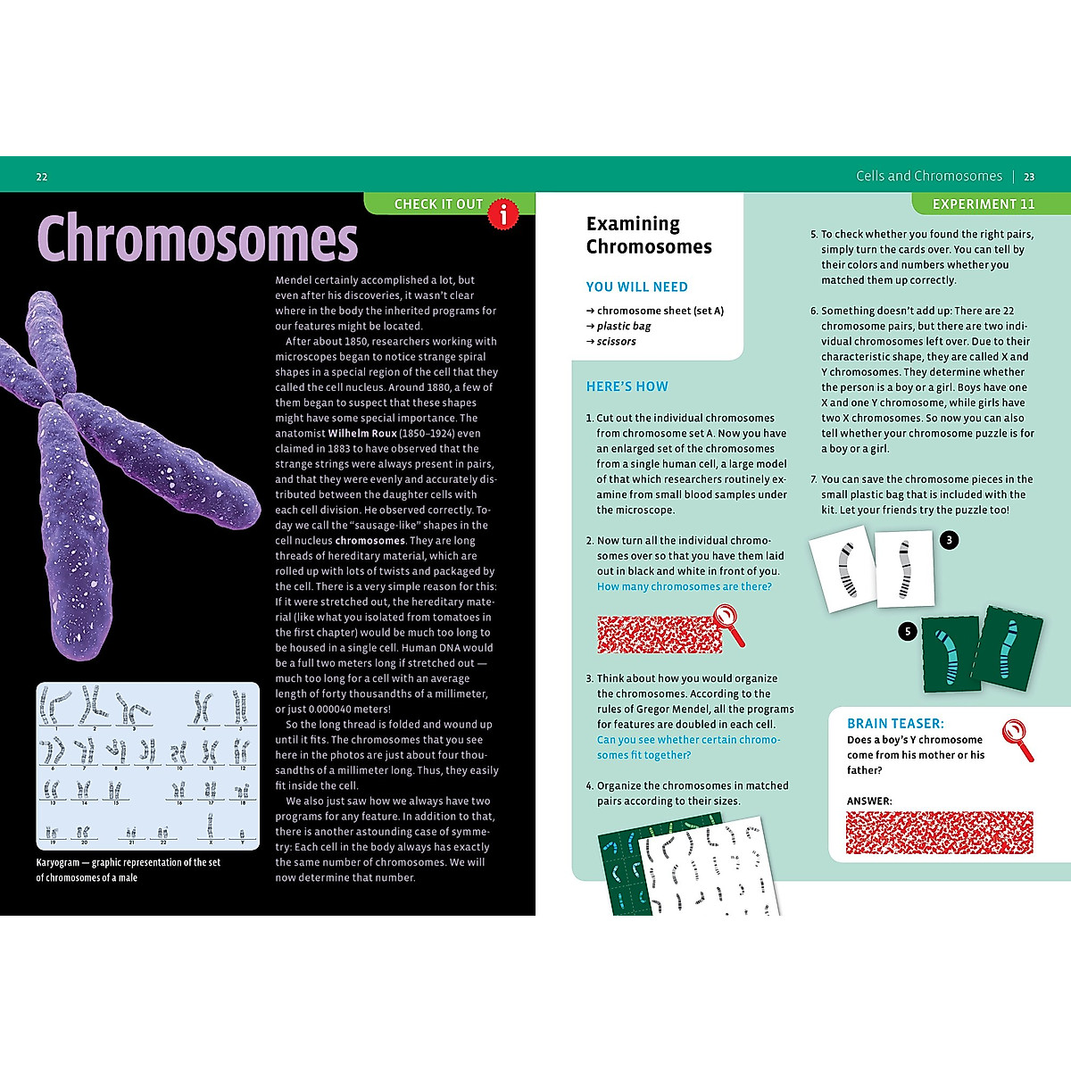 Thames & Kosmos Biology Genetics and DNA Multicolor, med