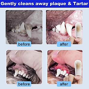 Dog Teeth Cleaning Wipes - 2 Pack | 100 Count, Dental Wipes for Dog Teeth, Pet Tooth Brushing kit Finger Wipes for Dogs & Cats - Reduces Plaque & Freshens Breath