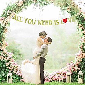 TENNYCHAOR All You Need is Love Paper Banner,Fun Engagement/Wedding/Bridal Shower/Anniversary Party Bunting Decoration Supplies.