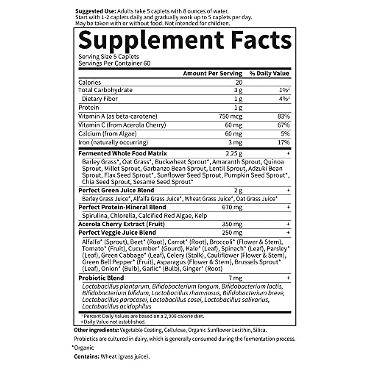 Garden of Life Whole Food Vegetable Supplement - Perfect Food Green Superfood Dietary Supplement, 300 Count