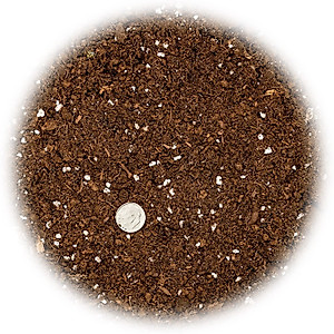 GARDENERA Money Tree Potting Soil, Soil Mix for Planting or Repotting Guiana Chestnut, Soil Blended to Properly Grow Money Tree Plants - (1 Quart Bag)