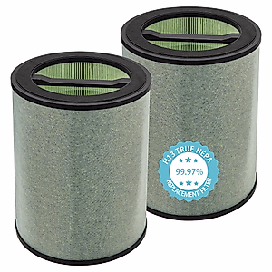 Byseacore True HEPA Filter Compatible with WYZE Smart Air Purifier, True HEPA(H13) Filter Replacement with Activated Carbon Filter, Standard Filter, 2 Count