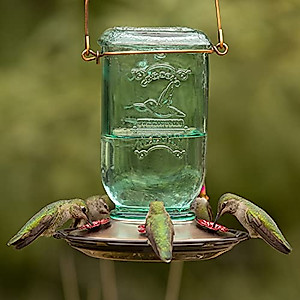 More Birds Mason Jar Hummingbird Feeder, Glass Hummingbird Feeders for Outdoors, 5 Feeding Stations, 25 Ounces