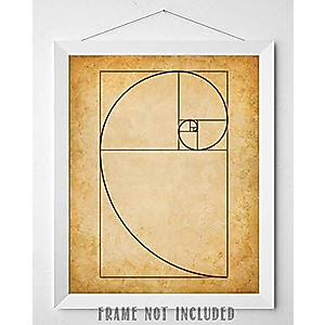 Fibonacci Spiral - 11x14 Unframed Art Print - Makes a Great Gift Under $15 for Artists
