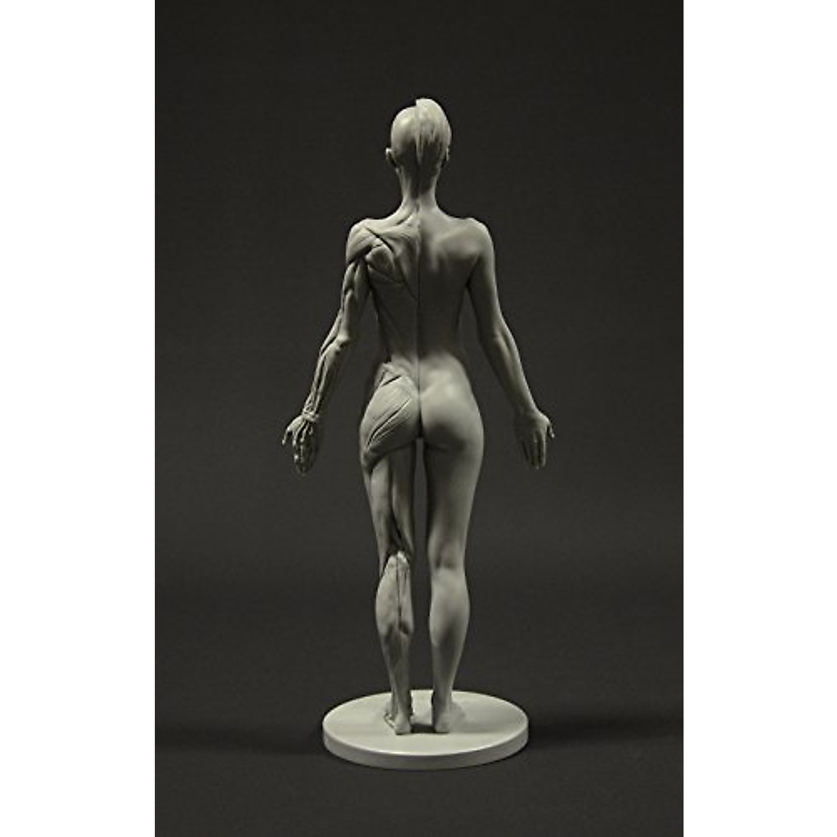 Female Anatomy Figure: 10.5-inch Anatomical Reference for Artists (Grey)