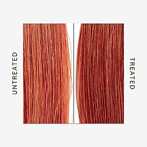 RAUSCH Avocado Color-Protecting Shampoo 200 ml