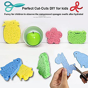 12-Count Kitchen Sponges- Compressed Cellulose Sponges Non-Scratch Natural Dish Sponge for Kitchen Bathroom Cars, Funny Cut-Outs DIY for Kids