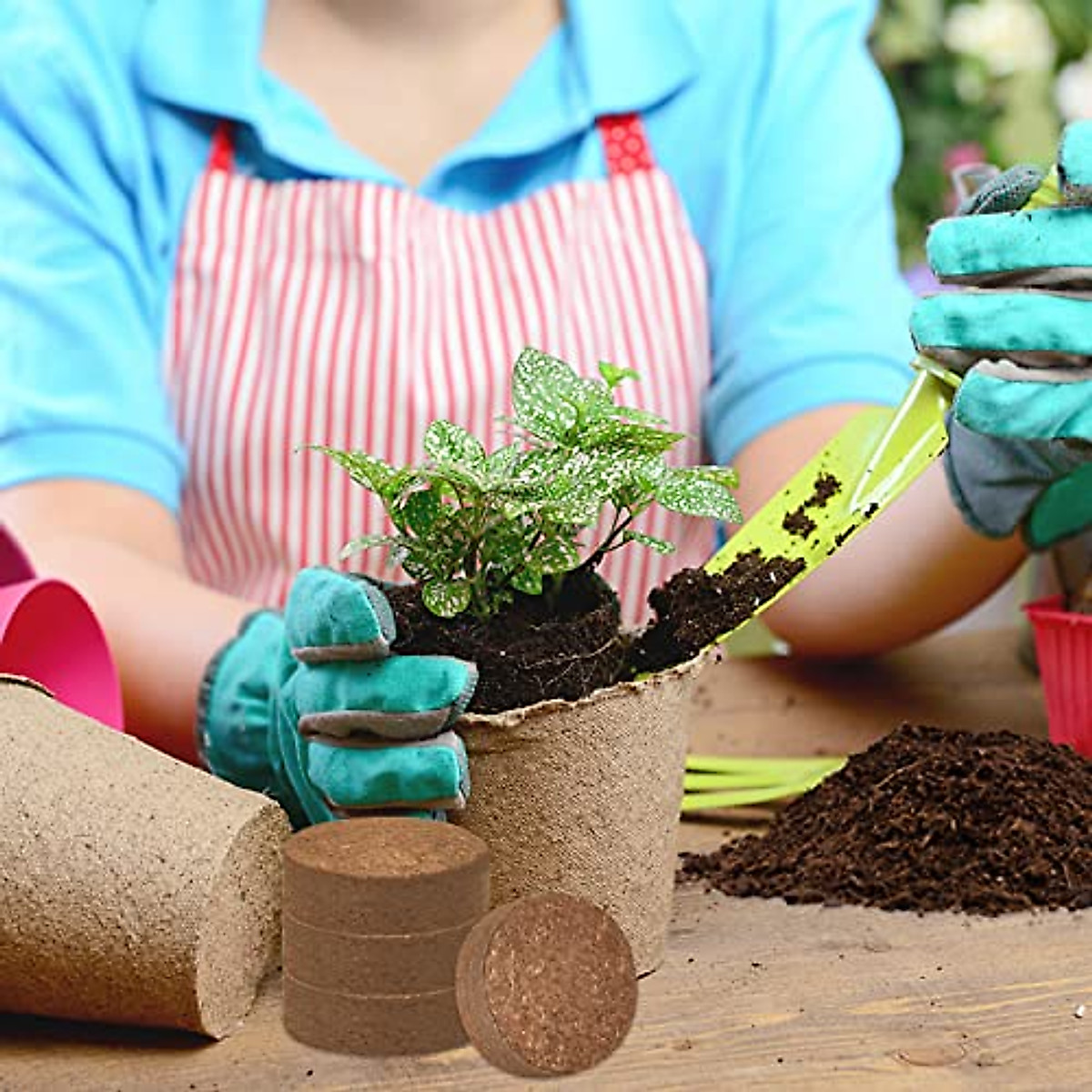 ZeeDix 100pcs (50mm) Coco Coir Pellets Organic Potting Soil for Planting Compressed Coco Coir Soil Coconut Soil Seed Starters for Indoors or Outdoors Bonsai Herbs Plants Flowers and Vegetables