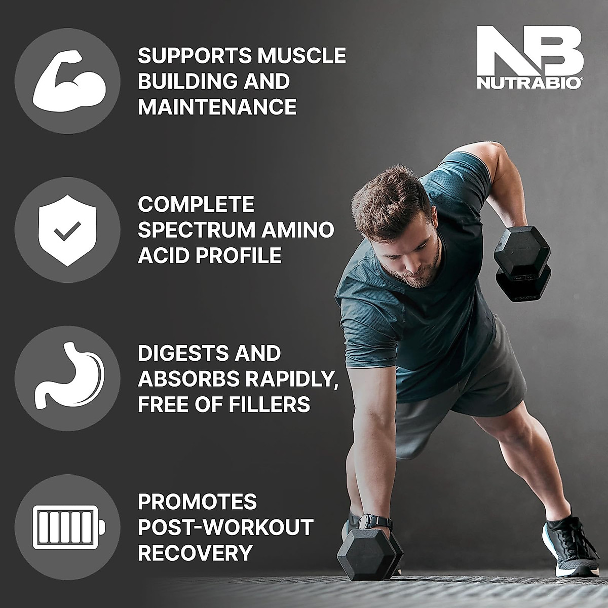 NutraBio Classic Whey Protein Powder- 25G of Protein Per Scoop - No Fillers, Artificial Colors, Preservatives - Chocolate Milkshake, 2 Pounds