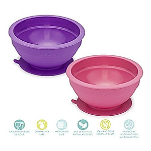 brinware 2 Piece Glass and Silicone Suction Bowls, Pink Purple